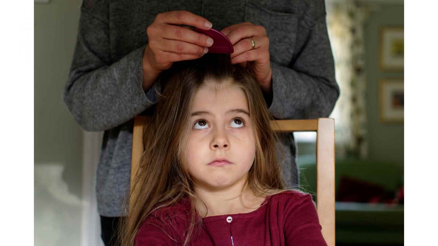 Can Head Lice Live On Pillows? - Cosy Sleep